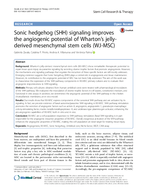 (PDF) SHH Signaling Enhances Angiogenic Potential of WJ-MSCs