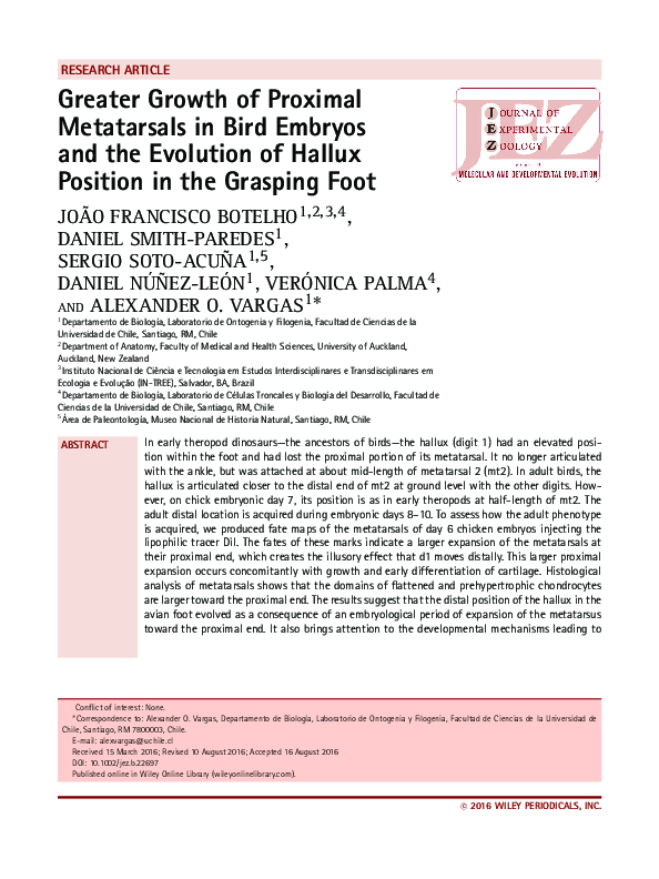 (PDF) Greater Growth of Proximal Metatarsals in Bird Embryos and the ...