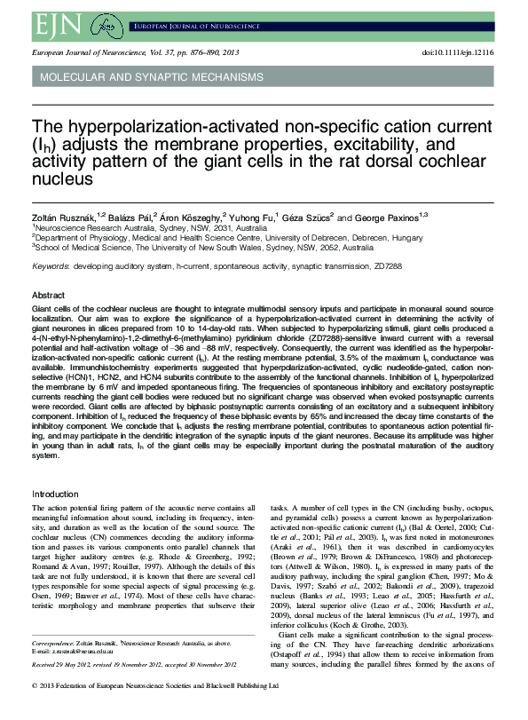 (PDF) The hyperpolarization-activated non-specific cation current (Ih ...