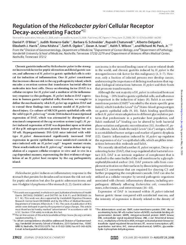 (PDF) Regulation of the Helicobacter pylori Cellular Receptor Decay ...