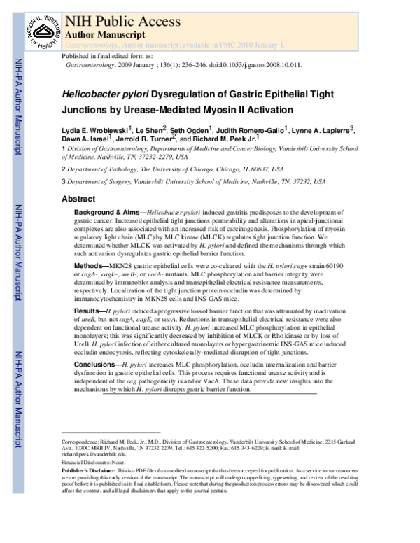 (PDF) Helicobacter pylori Dysregulation of Gastric Epithelial Tight ...