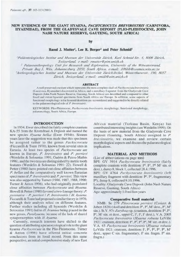 (PDF) New evidence of the giant hyaena, Pachycrocuta brevirostris ...