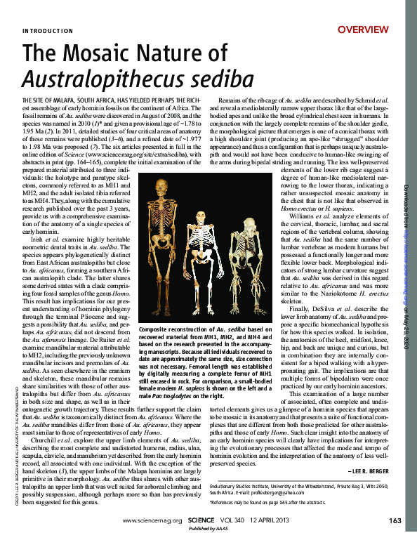 (PDF) The Mosaic Nature of Australopithecus sediba