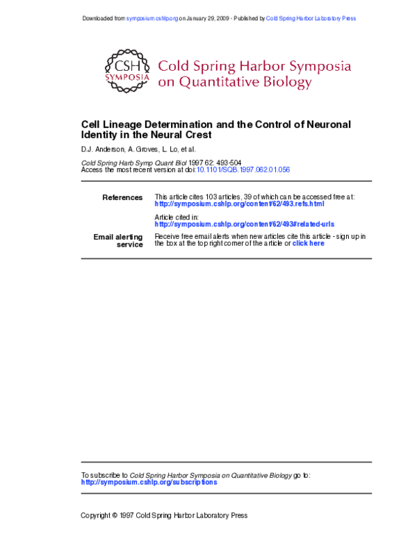 (PDF) Cell lineage determination and the control of neuronal identity ...