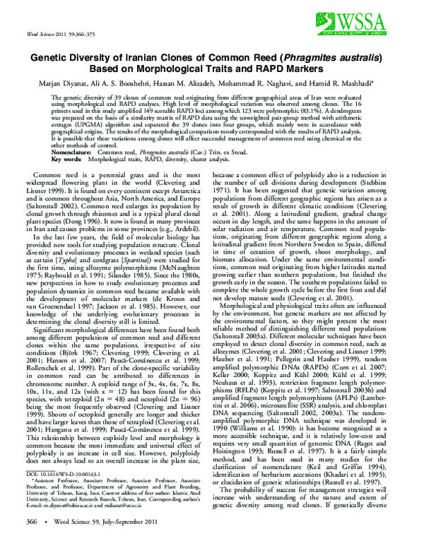 (PDF) Genetic Diversity of Iranian Clones of Common Reed (Phragmites ...