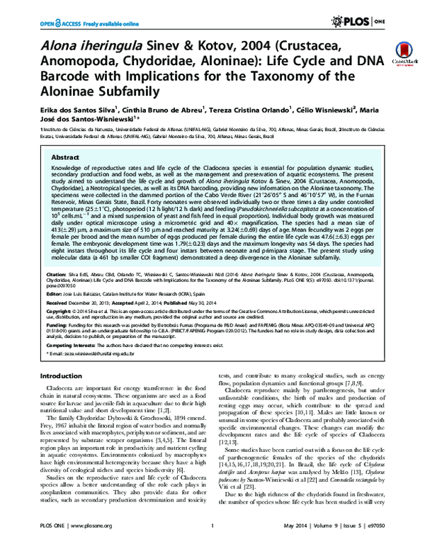 (PDF) Alona iheringula Sinev & Kotov, 2004 (Crustacea, Anomopoda ...