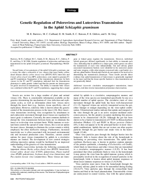 (PDF) Genetic Regulation of Polerovirus and Luteovirus Transmission in ...