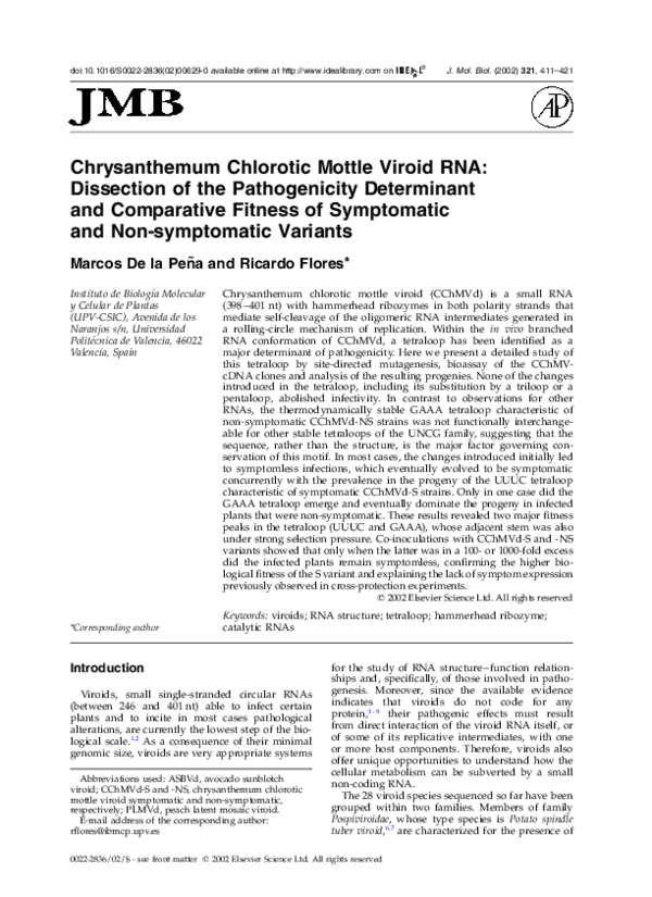 (PDF) Chrysanthemum Chlorotic Mottle Viroid RNA: Dissection of the ...