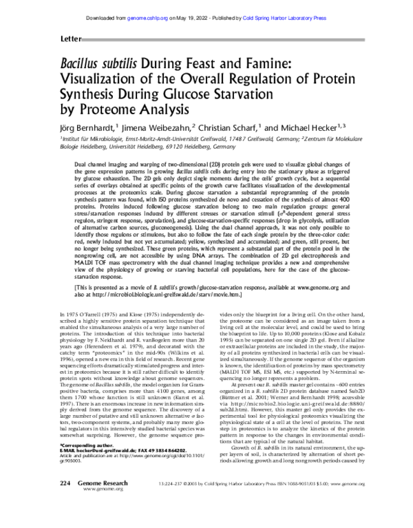 (PDF) Bacillus subtilis During Feast and Famine: Visualization of the ...