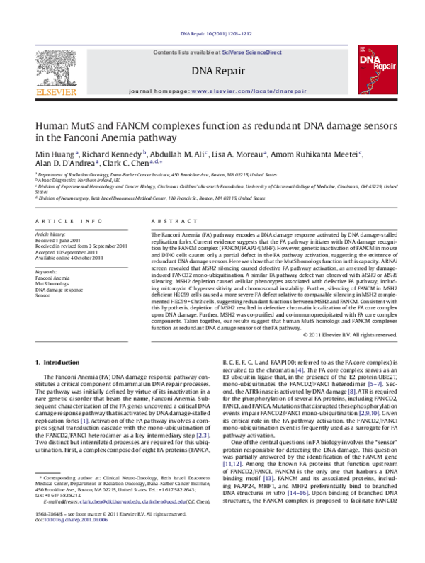 (PDF) Human MutS and FANCM complexes function as redundant DNA damage ...