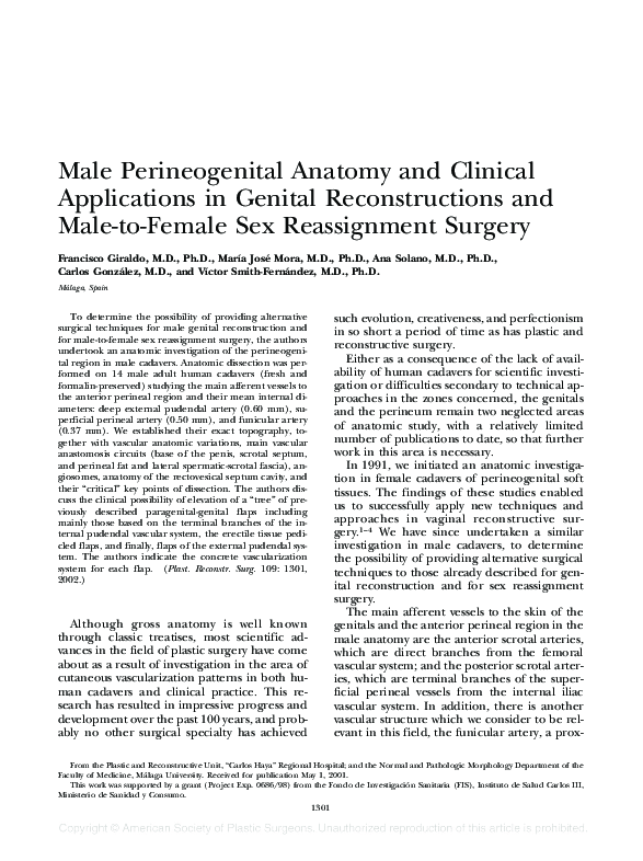 Pdf Male Perineogenital Anatomy And Clinical Applications In Genital