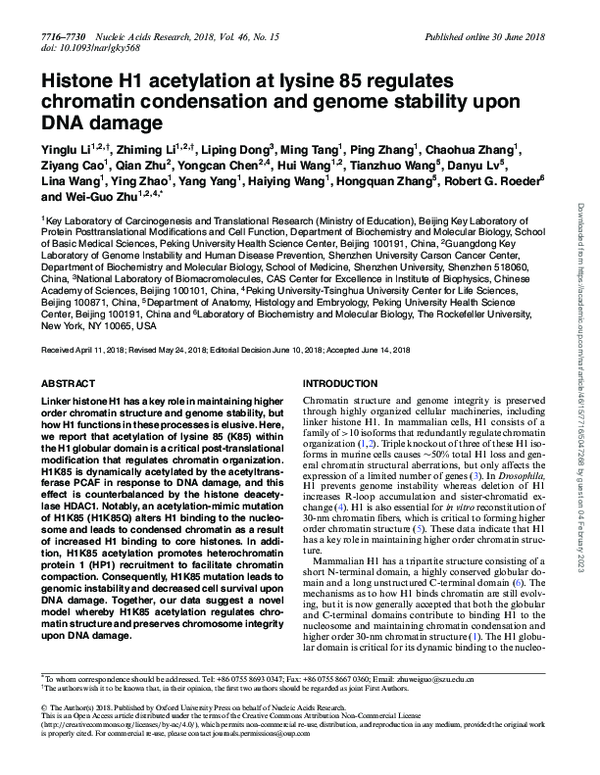 (PDF) Histone H1 acetylation at lysine 85 regulates chromatin ...