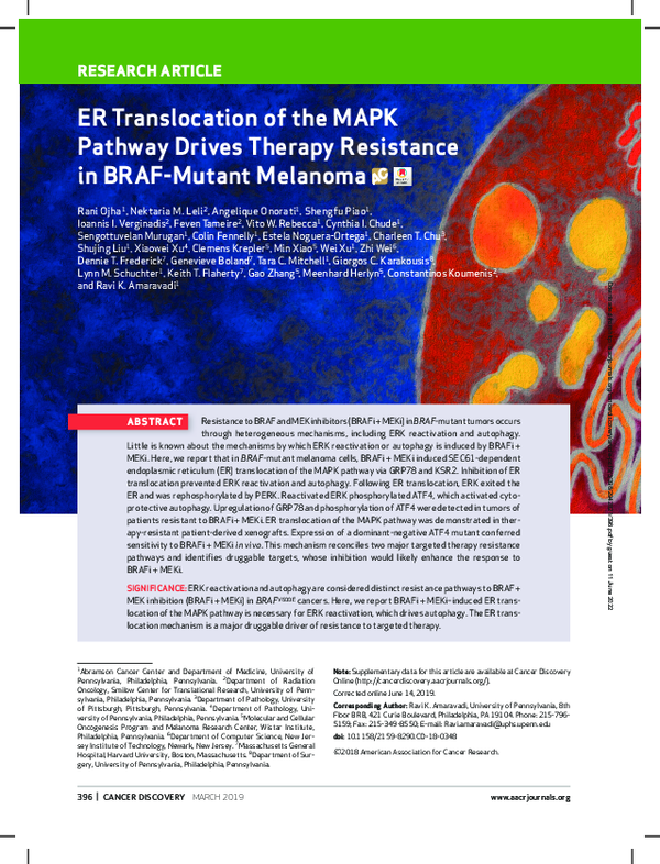 (PDF) ER Translocation of the MAPK Pathway Drives Therapy Resistance in ...