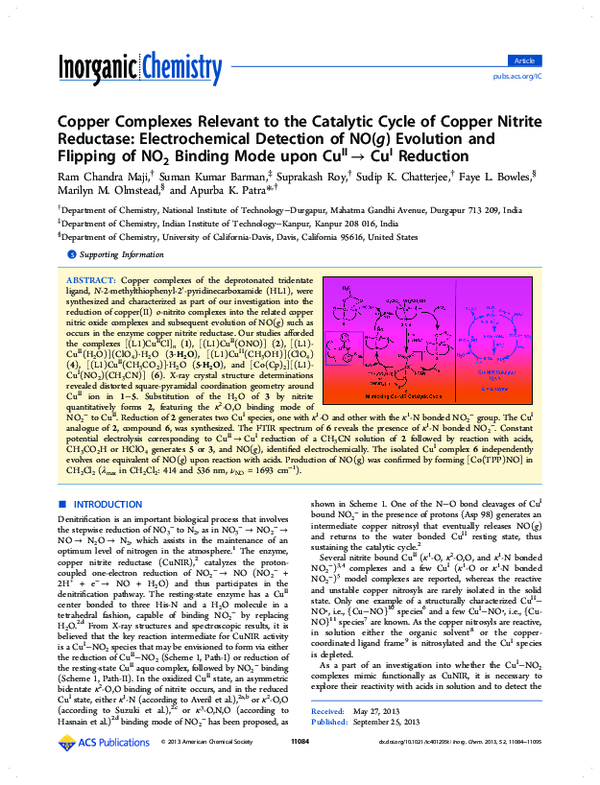 (PDF) Copper Complexes Relevant to the Catalytic Cycle of Copper ...