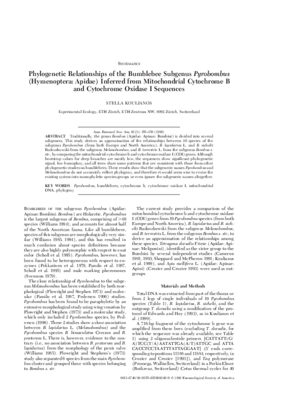 (PDF) Phylogenetic Relationships of the Bumblebee Subgenus Pyrobombus ...