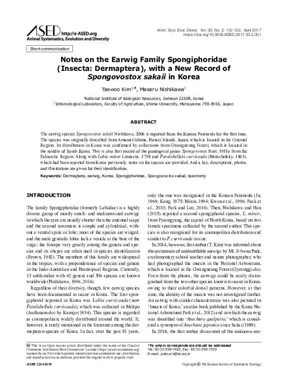 (PDF) Notes on the Earwig Family Spongiphoridae(Insecta: Dermaptera ...