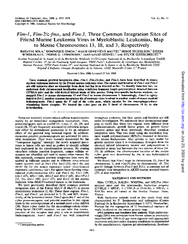 (PDF) Fim-1, Fim-2/c-fms, and Fim-3, three common integration sites of ...