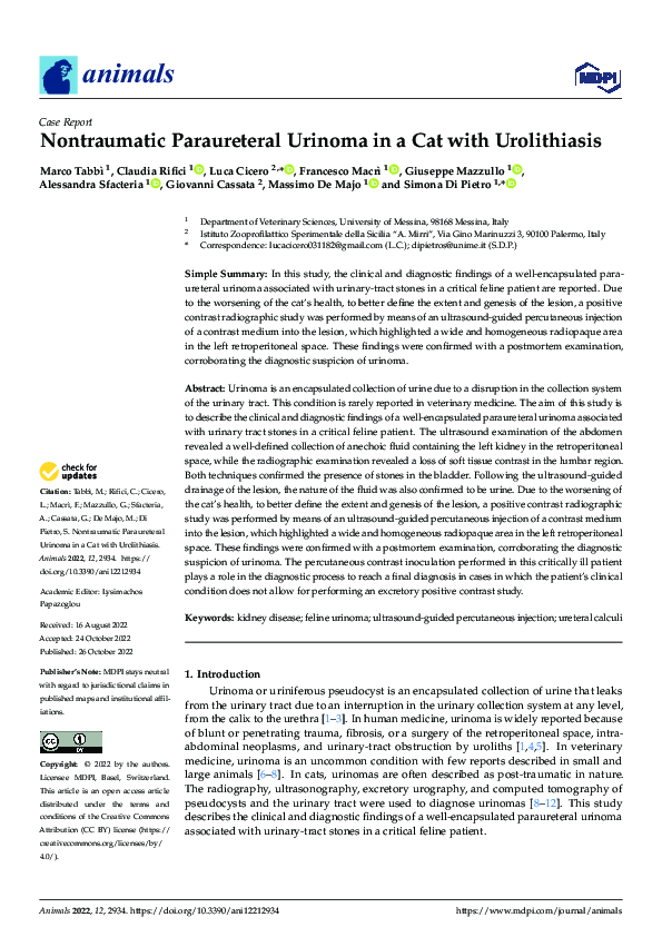 (PDF) Nontraumatic Paraureteral Urinoma in a Cat with Urolithiasis