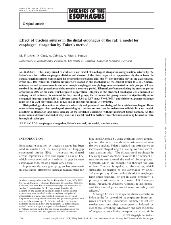 (PDF) Effect of traction sutures in the distal esophagus of the rat: a ...