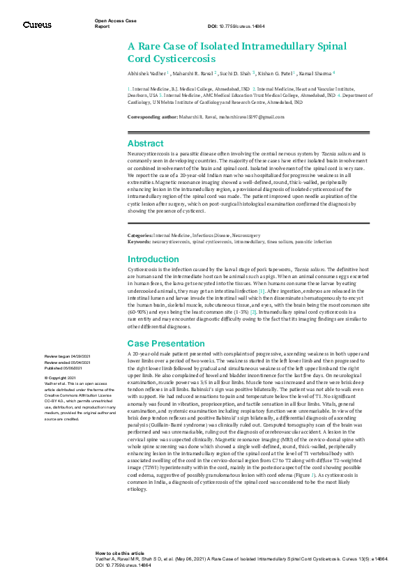 (PDF) A Rare Case of Isolated Intramedullary Spinal Cord Cysticercosis