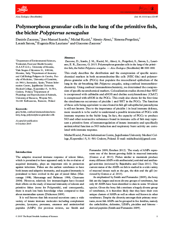 (PDF) Polymorphous granular cells in the lung of the primitive fish, the bichirPolypterus senegalus