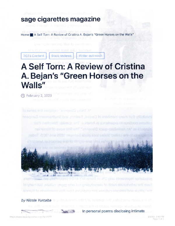 (PDF) sage cigarettes magazine - book review by Nicole Yurcaba of ...