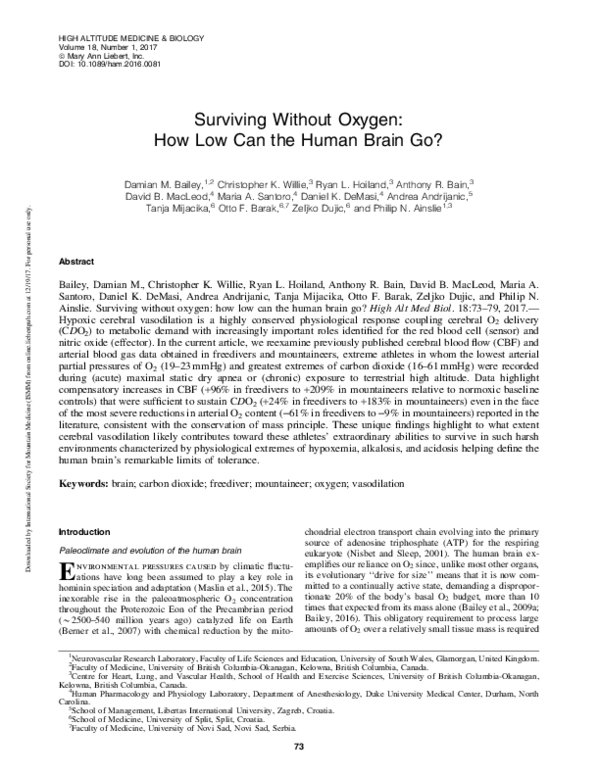 (PDF) Surviving Without Oxygen: How Low Can the Human Brain Go?
