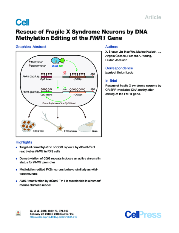 (PDF) Rescue of Fragile X Syndrome Neurons by DNA Methylation Editing ...