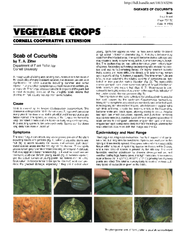 (PDF) Scab of Cucurbits