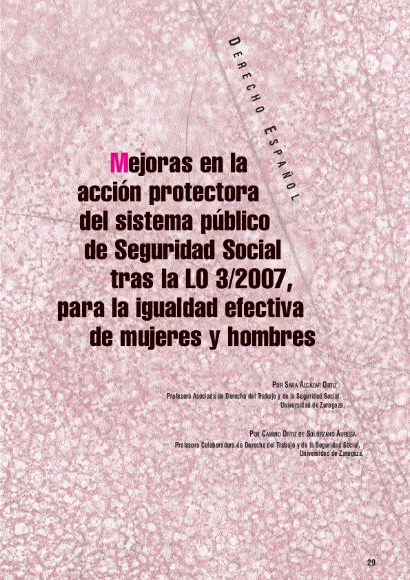 (PDF) Mejoras en la acción protectora del sistema público de Seguridad ...