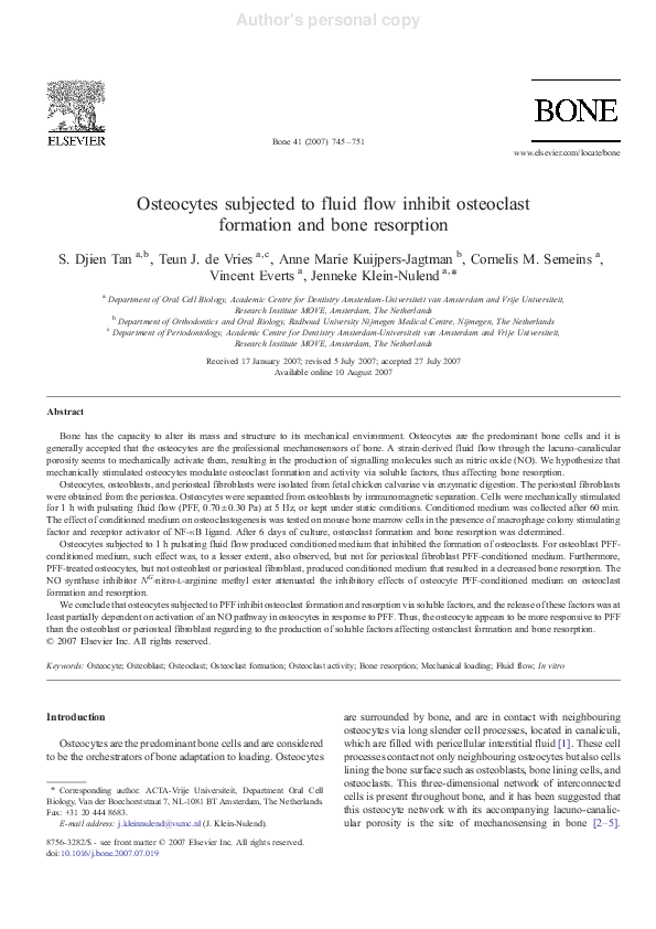 (PDF) Osteocytes subjected to fluid flow inhibit osteoclast formation ...