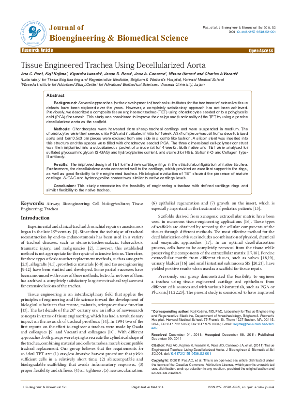 (PDF) Tissue Engineered Trachea Using Decellularized Aorta