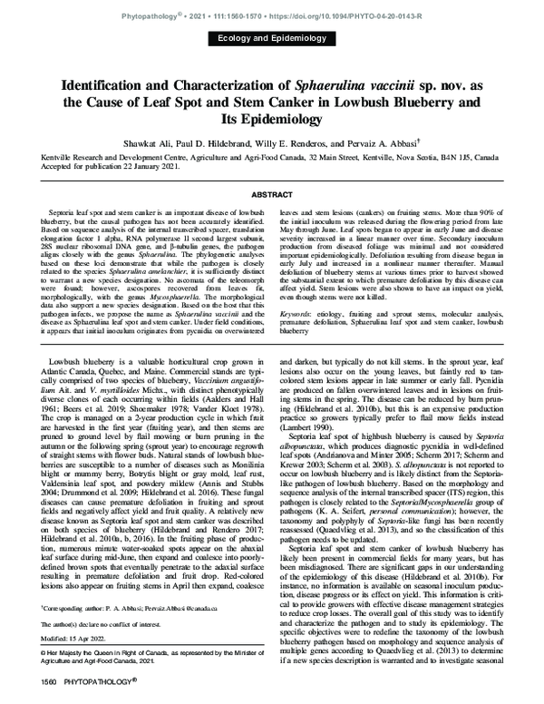 (PDF) Identification and Characterization of Sphaerulina vaccinii sp ...