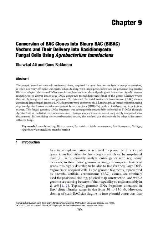 (PDF) Conversion of BAC Clones into Binary BAC (BIBAC) Vectors and ...