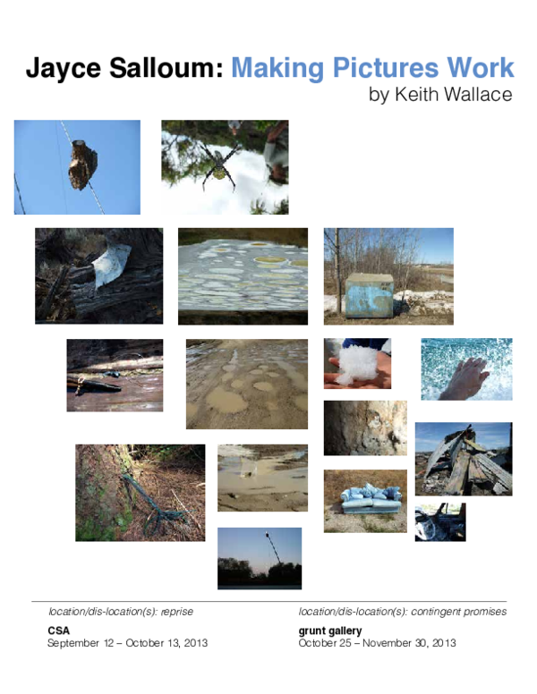 (PDF) Jayce Salloum : Making Pictures Work