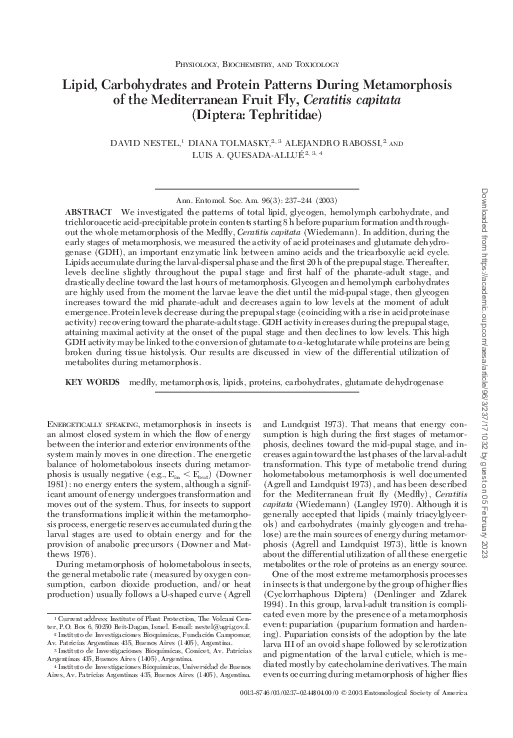 (PDF) Lipid, Carbohydrates and Protein Patterns During Metamorphosis of ...