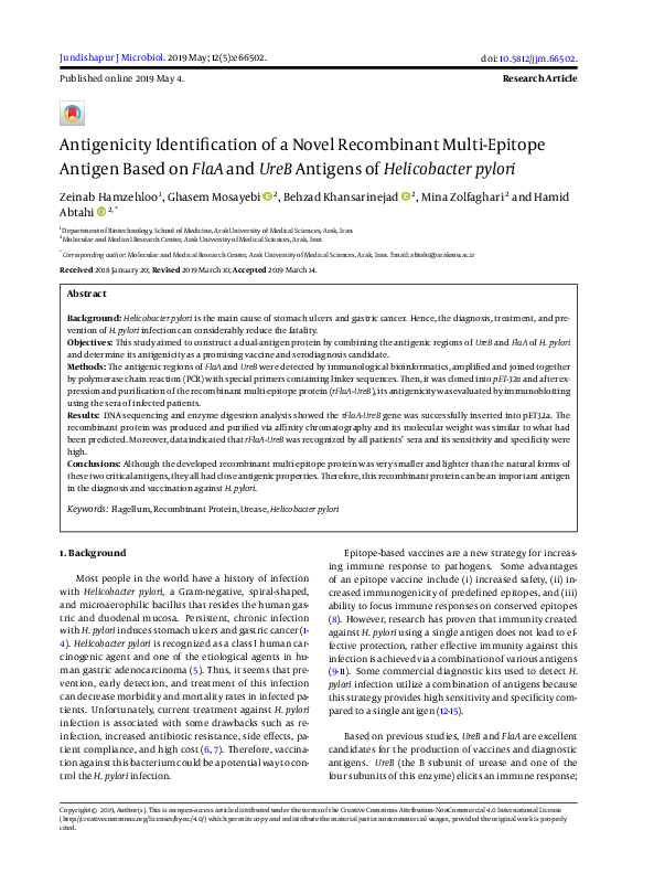 (PDF) Antigenicity Identification of a Novel Recombinant Multi-Epitope ...