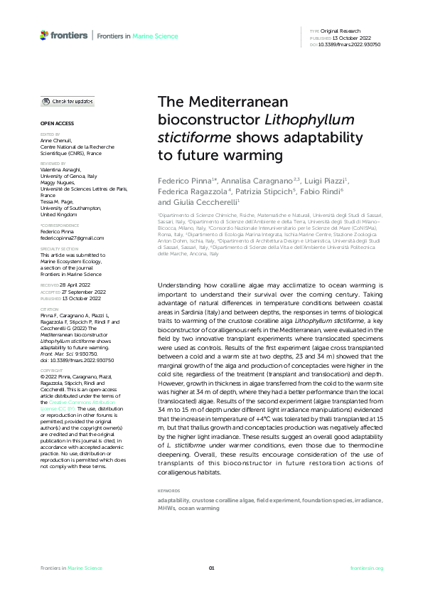 (PDF) The Mediterranean bioconstructor Lithophyllum stictiforme shows ...