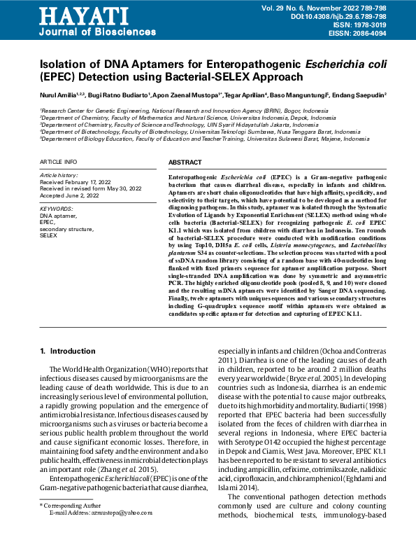 (PDF) Isolation of DNA Aptamers for Enteropathogenic Escherichia coli (EPEC) Detection using ...