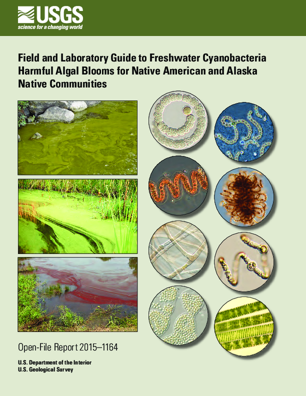 (PDF) Field and laboratory guide to freshwater cyanobacteria harmful ...