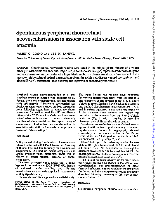 (PDF) Spontaneous peripheral chorioretinal neovascularisation in ...