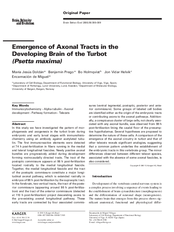 (PDF) Emergence of Axonal Tracts in the Developing Brain of the Turbot ...