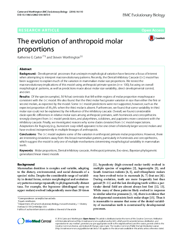 (PDF) The evolution of anthropoid molar proportions | Steven ...
