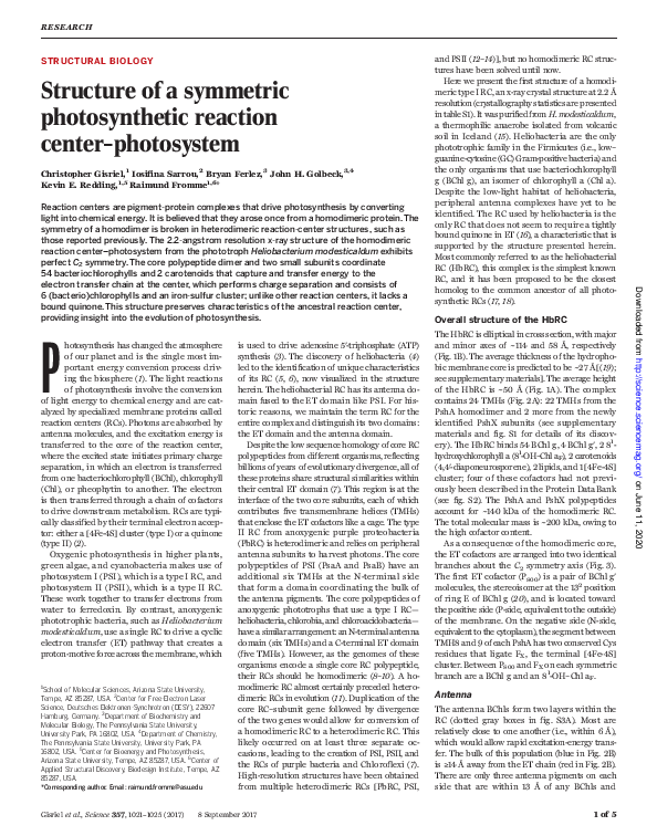 (PDF) Structure of a symmetric photosynthetic reaction center–photosystem