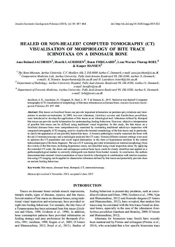 (PDF) Healed or non-healed? Computed tomography (CT) visualisation of ...