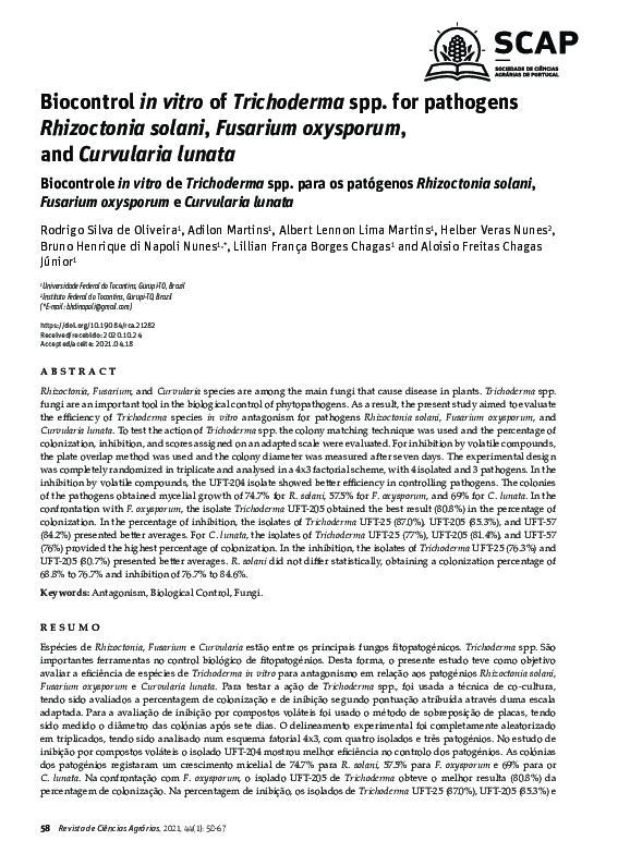 Pdf Biocontrol In Vitro Of Trichoderma Spp For Pathogens Rhizoctonia Solani Fusarium