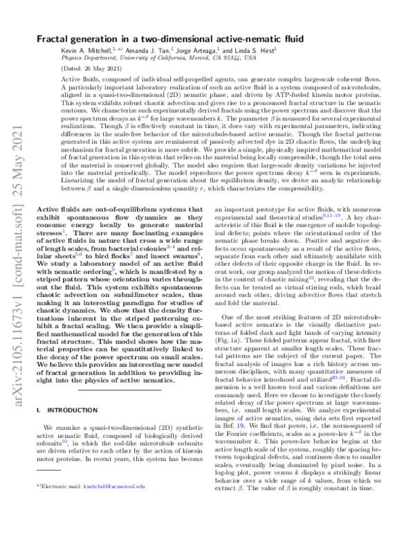 (PDF) Fractal generation in a two-dimensional active-nematic fluid