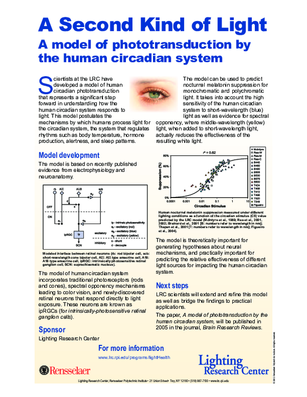 (PDF) A model of phototransduction by the human circadian system