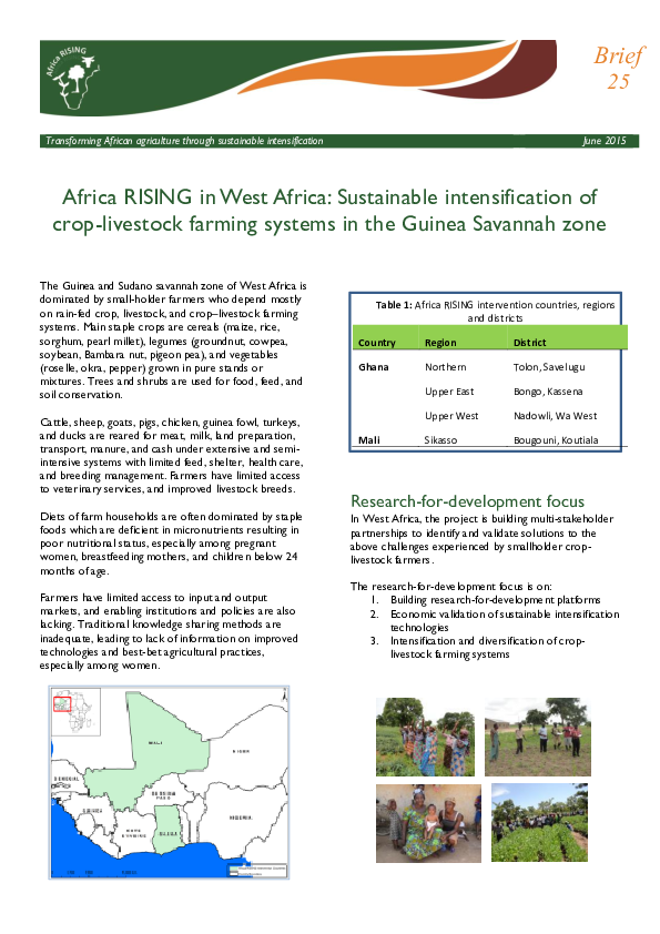 (PDF) Africa RISING in West Africa: Sustainable intensification of crop ...