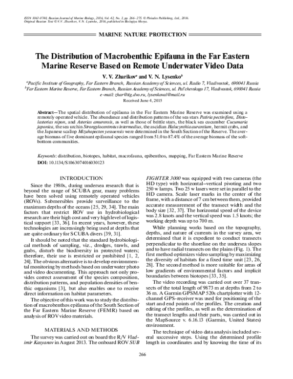 (PDF) The distribution of macrobenthic epifauna in the Far Eastern ...